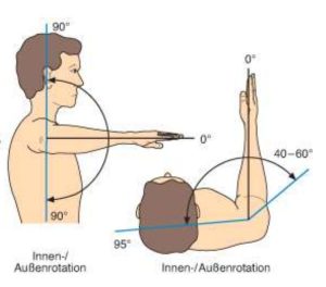 Kurzhantel Außenrotation der Schulter: Guide & Übung | MARCO GIGLIO